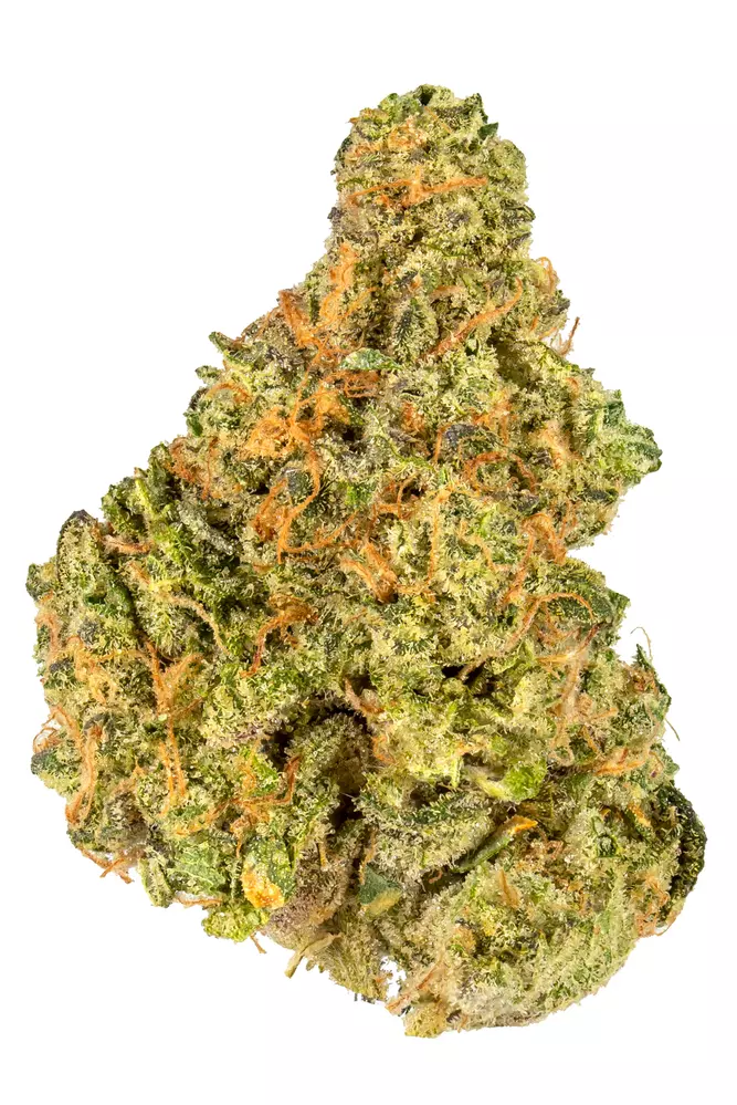 Buy garlic strain online - Colorado Online Dispensary Shipping Worldwide